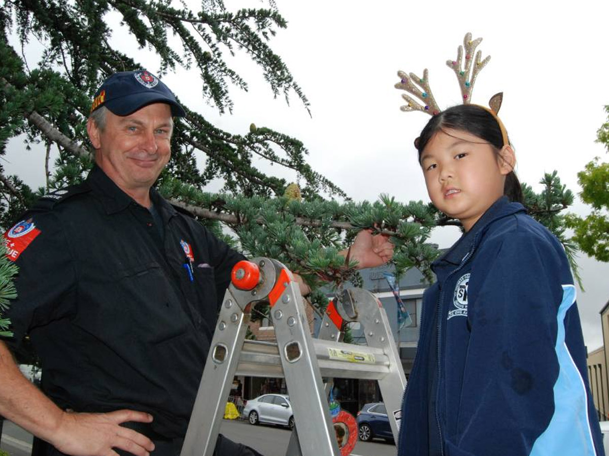School children decorate Manners Park Christmas tree in Springwood