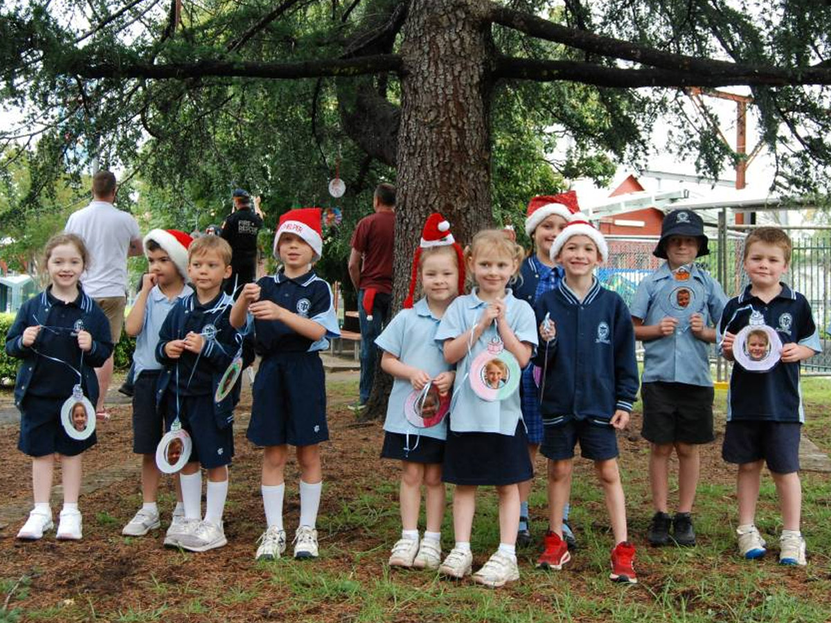 School children decorate Manners Park Christmas tree in Springwood