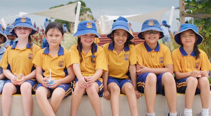 Primary Schools | CSPD