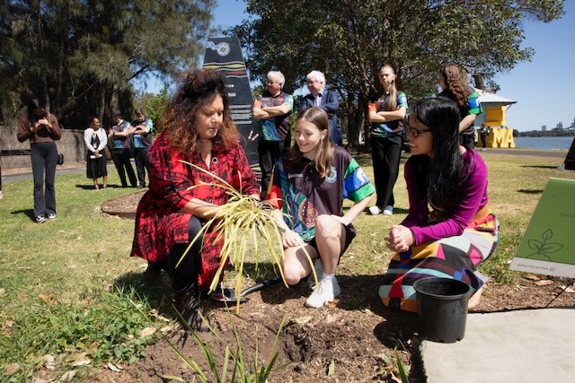 Media Enquiries | CSPD